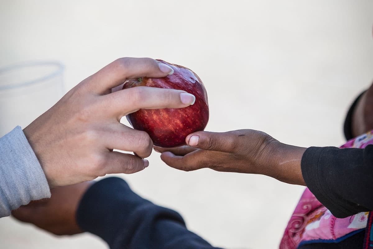 Ejemplos de bondad que puedes llevar a cabo - Cáritas de Monterrey